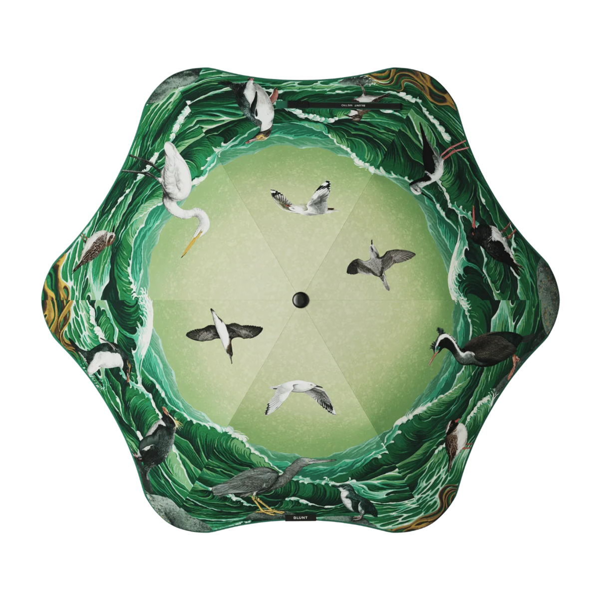 Umbrella - Metro - Forest And Bird | Paddington Store