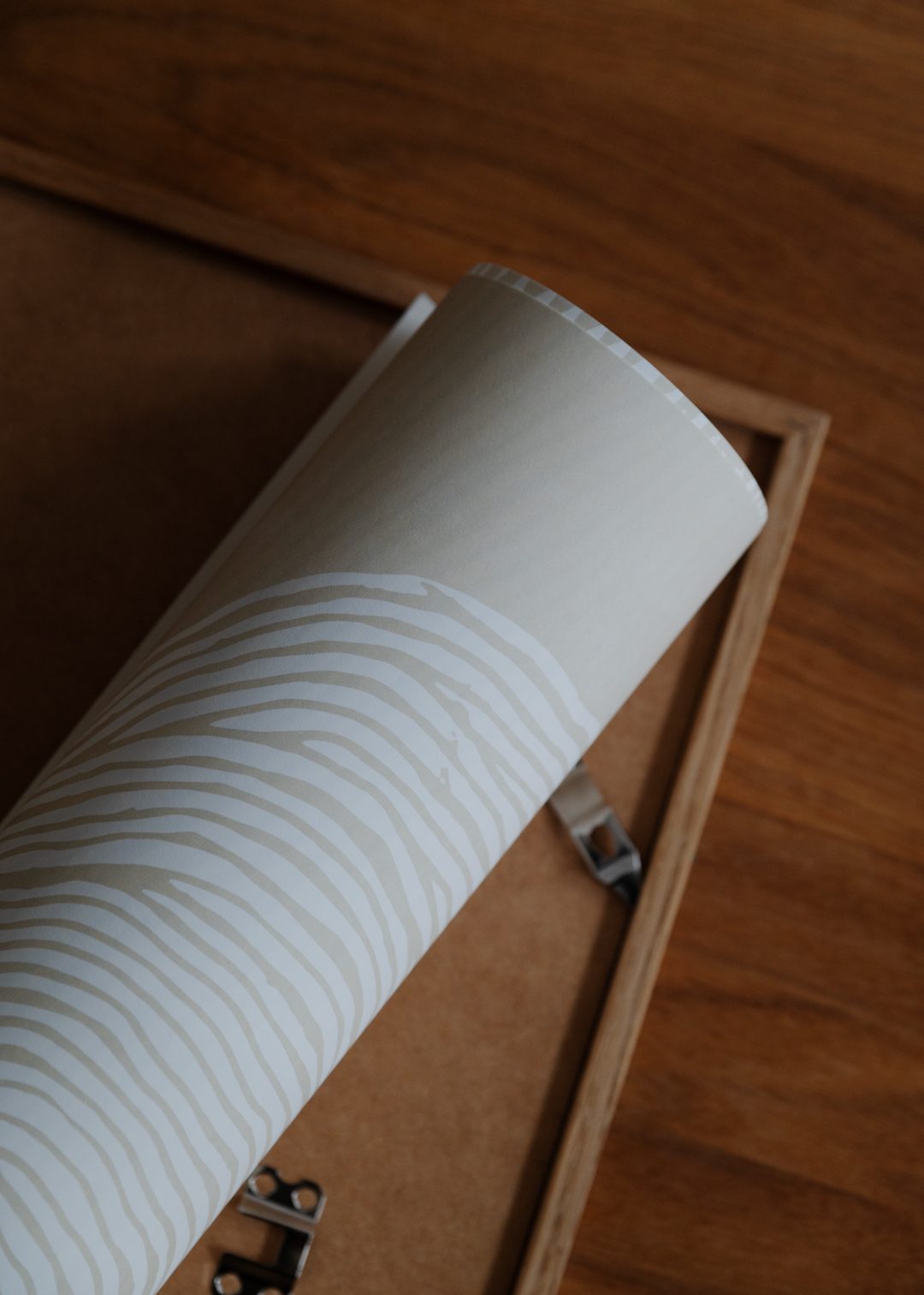 Rebecca Hein - The Line no. 08 | Paddington Store