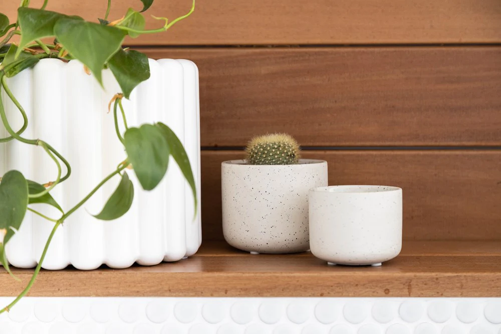 Ricko Pots | Paddington Store